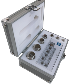 PESAS E2 - SCALE SERVICES S.A.S - BÁSCULAS Y BALANZAS